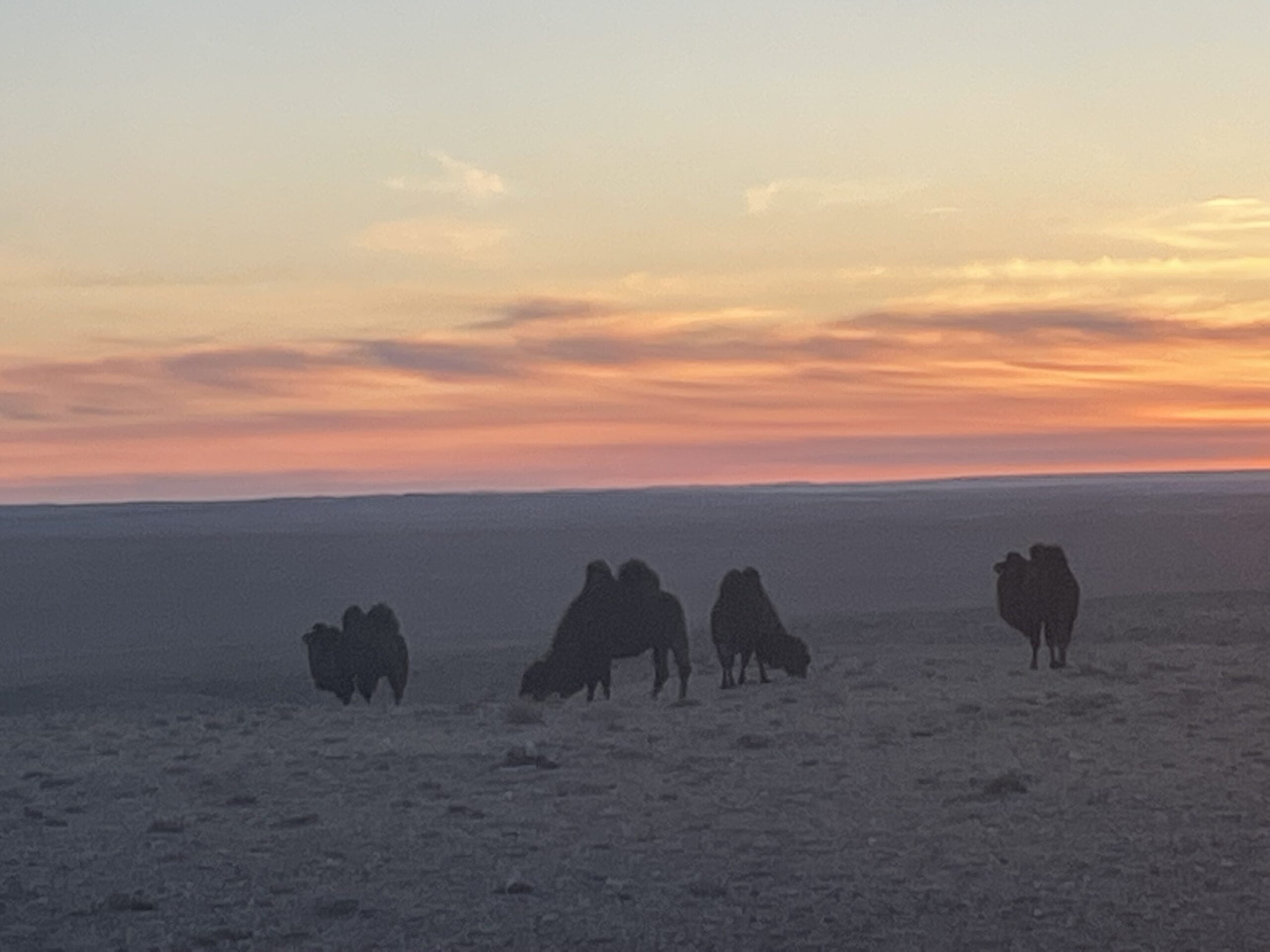 Gobi Desert – MONGOLIAN NOMADS TRAVEL